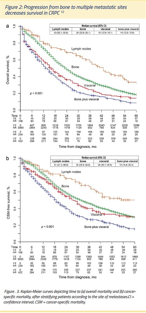 Bone Metastases And Mortality In Prostate Cancer Can We Be Doing More