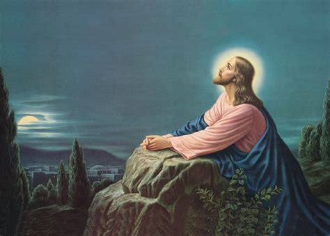 Faarsaa Ortodooksii Tawaahidoo Afaan Oromoo