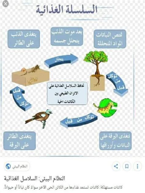 السلسلة الغذائية Pdf