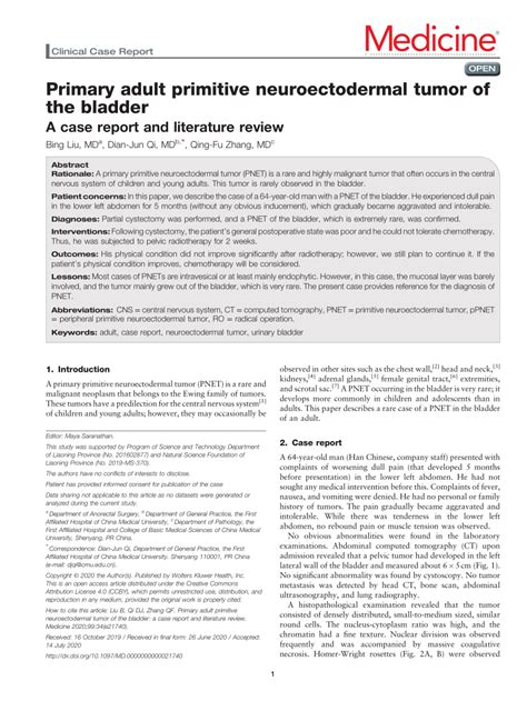 Pdf Primary Adult Primitive Neuroectodermal Tumor Of The Bladder A