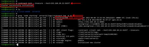 How To Install A Cockroachdb Cluster On Debian 11