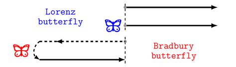 In The Lorenz Picture Of The Butterfly Effect One Compares Two