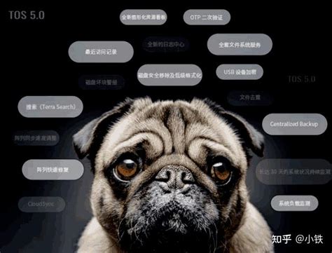 nas是什么？nas网络存储怎么用？ 知乎