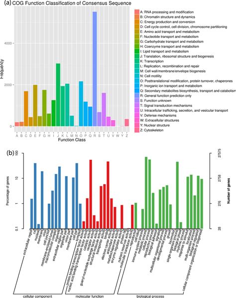 functional classification of all unigenes in the cog and go databases