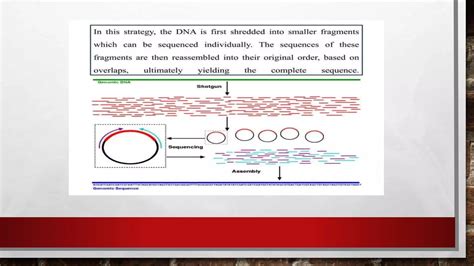 Whole Genome Shotgun Sequencing Pptx