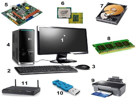 Conceptos Basicos De Informatica Y Ciudadania Digital Arbol