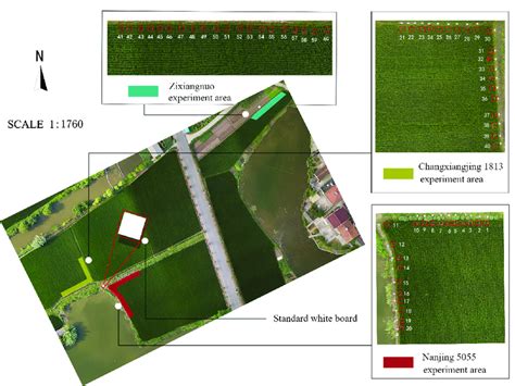 Rice Experiment Area Rice Experiment Area Download Scientific Diagram