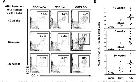 Figure 4 From Efficient Differentiation And Function Of Human Macrophages In Humanized Csf 1