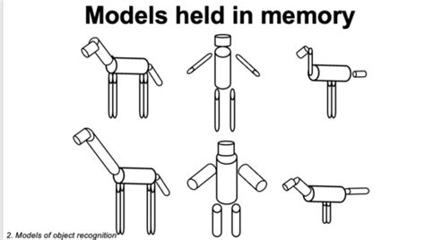 Ps1002 Exam Perception And Cognition 2024 Flashcards Quizlet