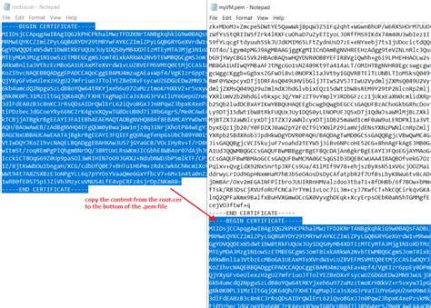 Create Custom Certificate For Vmware Aria Appliances Formerly Vrealize