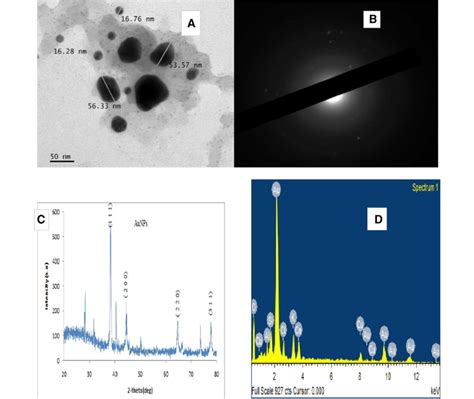 Transmission Electron Micrograph Tem For Aunps A Selected Area