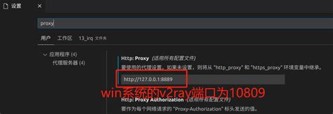 Linux 环境配置 VScode copilot linux copilot CSDN博客