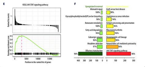 Hierarchical Clustering Results Of Gene Expression And Functional