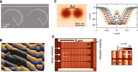 Examples Of 3 Dimensional Nanostructures Obtained By T Spl Using The