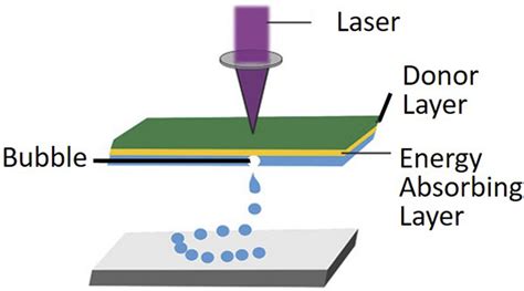 Laser Assisted Bioprinting Utilizes Laser Induced Rapid Heating Of The Download Scientific
