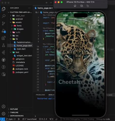 Hammad Ali On Linkedin Flutter Appdevelopment