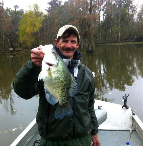 Spawning Crappie