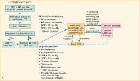 [臨床藥學] 急性心臟衰竭處理流程 附報告用大圖 Nejs