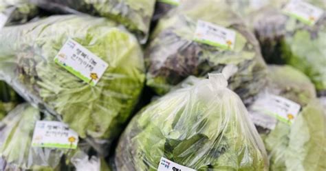 중랑행복농장 수확 채소 취약계층 위한 ‘나눔채소 은행 운영