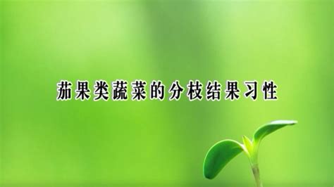 实用技术 积石山现代农业产业研究院