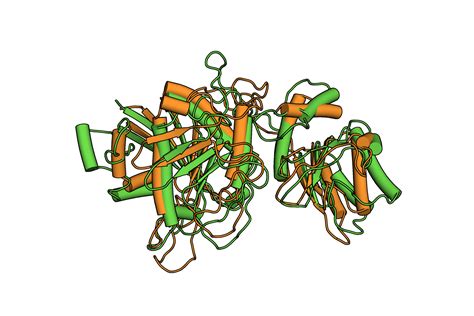 Searching For Structural Homologs In A Protein Structure Database — Biotite