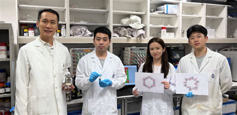 Hkust Engineering Researchers Develop Advanced Solid State Electrolytes For High Performance All