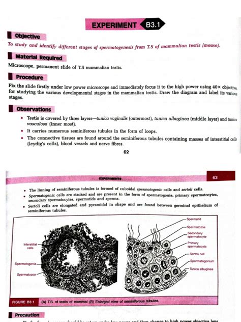 Experiment Volumetric Analysis Pdf