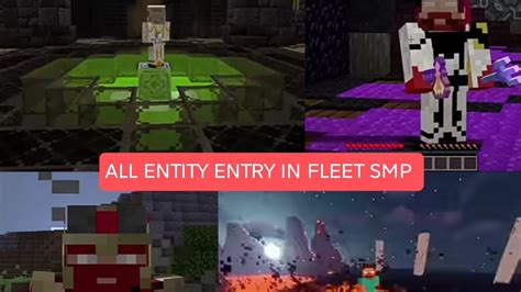 All Entity Entry In Fleet Smp Hindi Youtube