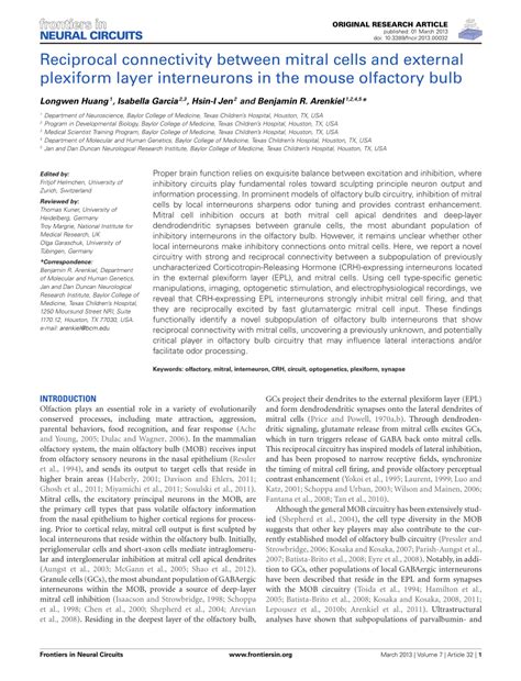 Pdf Reciprocal Connectivity Between Mitral Cells And External