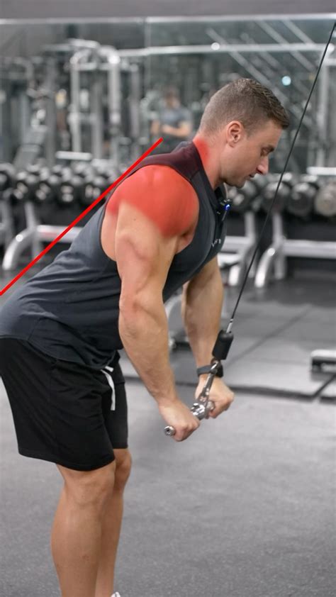 The Tricep Has Three Heads Including The Lateral Head The Long Head And The Medial Head All