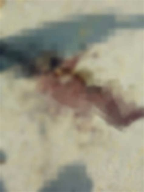 ပေါင်မြို့နယ်မှာ ကင်းပုန်းဝပ်နေတဲ့ ပျူစောထီး ၃ ဦးပစ်ခတ်ခံရပြီး ပျူစောထီးခေါင်းဆောင်သေဆုံး