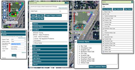 Municipal Tree Inventories ABC Consulting Arborists Spokane WA