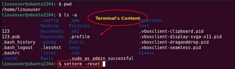 How To Clear The Terminal Screen In Ubuntu Linux Genie