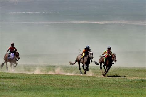 Шүдлэн насанд 254 үрээ уралдахаар бүртгүүлжээ