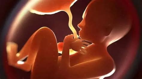 Aborts Pregnancy To Hide Relationship Throws Foetus In Drain India General Kerala Kaumudi