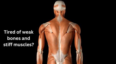 Zapsciatica Sciatica Pain Relief Sciatica Pain Mangement Products