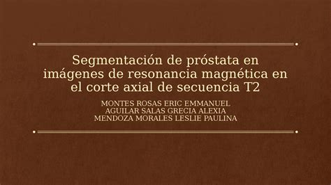 prostate segmentation with mri t2 docsity