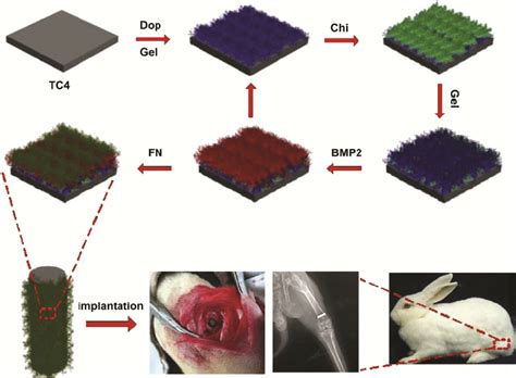 Schematic Diagram Showing Production Process Of PEM Consisting Of Download Scientific Diagram