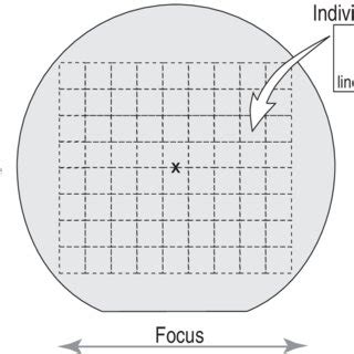 Wafer Layout For The Focus And Exposure Matrix A Nine By Nine Field Download Scientific