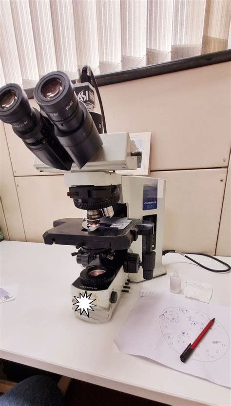 Muskan Choudhary On Linkedin New Day New Step Of Learning