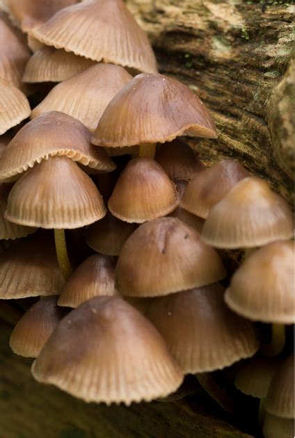 Effective Ways To Sort Python Iterables