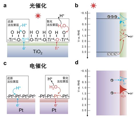 现代工学院罗文俊教授邹志刚院士采用法拉第结理论统一描述光催化与电催化过程