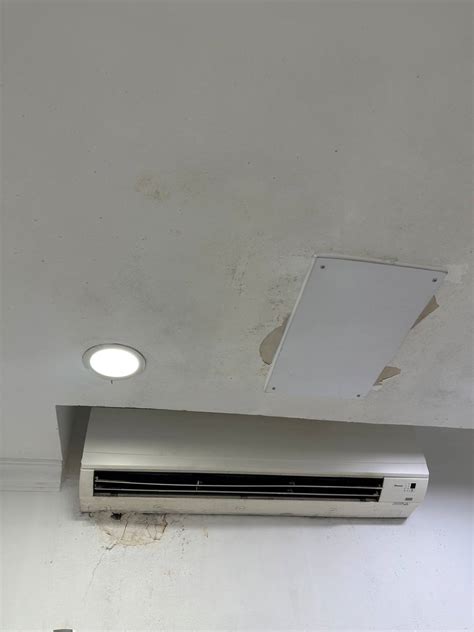 Python Spotted In Ceiling At Toast Box Rail Mall Outlet Store Closed For Hours Mothership