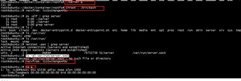 Docker Unix Domain Socket Poleconsult