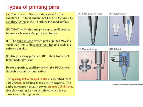 Ppt Microarray Introduction Powerpoint Presentation Free Download Id 1100698