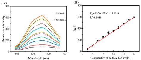 Enzyme Assisted Amplification And Copper Nanocluster Fluorescence Signal Based Method For Mirna
