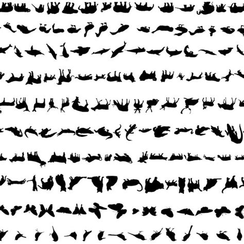 Our Shape Dataset Download Scientific Diagram