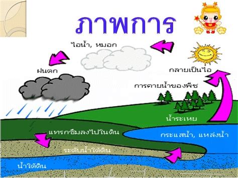 งานนำเสนอ ฝนมาแล้วจ๊ะ ครูแตน