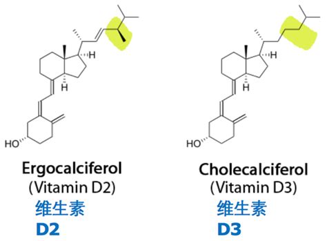 你的维生素D够了吗 医生没告诉你的各种细节本篇都有了 手机新浪网