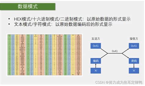 Stm32：串口通信串口发送内含：1接线图2实物图3代码部分 阿里云开发者社区